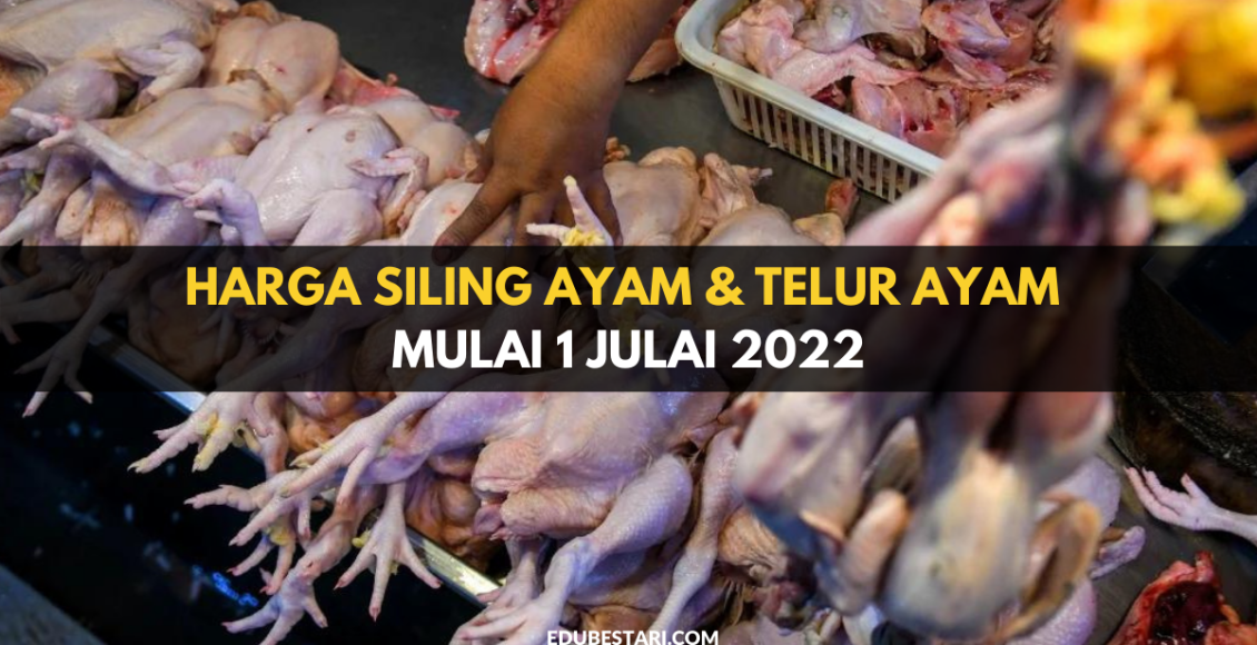 Harga Siling Ayam & Telur Ayam Mulai 1 Julai 2022 - Edu Bestari