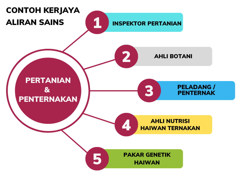 Senarai Kerjaya Bagi Aliran Sains & Aliran Sastera Untuk Rujukan ...