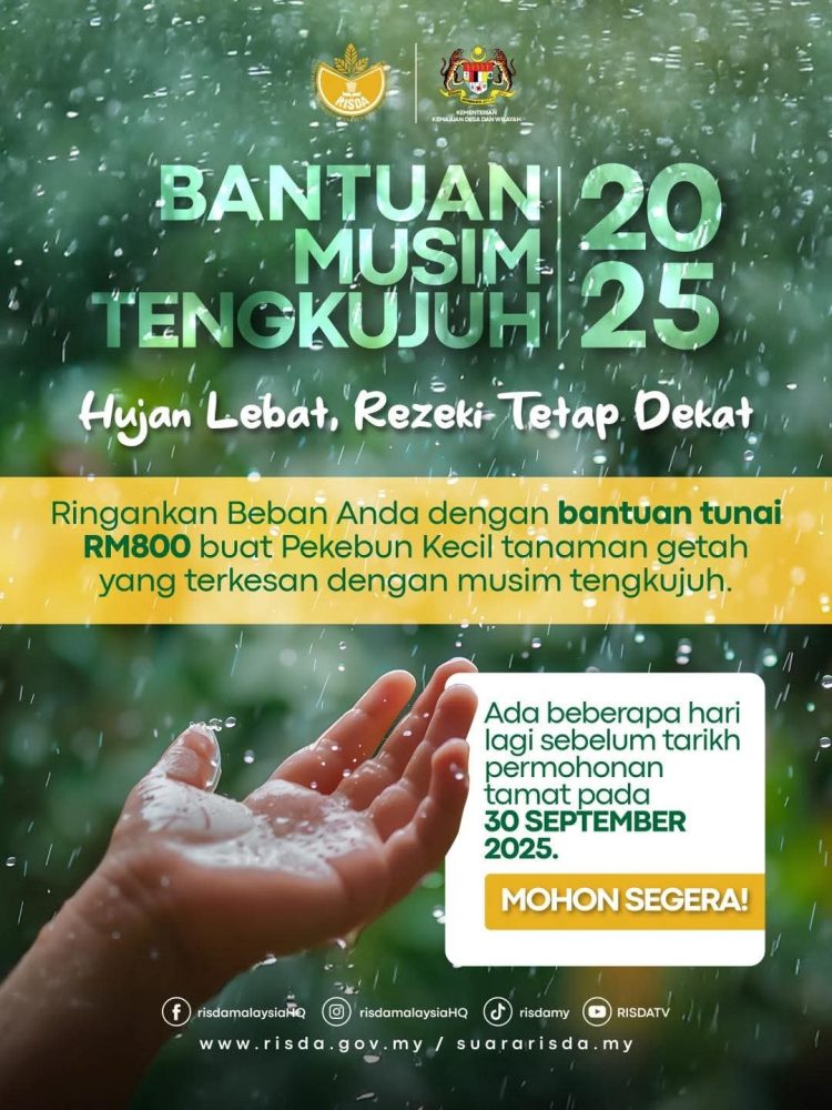 Bantuan Musim Tengkujuh 2025: Pekebun Kecil Getah Terima RM800 » EduBestari